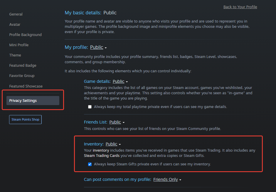 How To Make Your Steam Profile and Inventory Public in 2025
