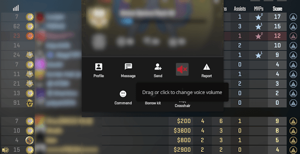 如何在 CS:GO/CS2 中将所有人或某人静音？