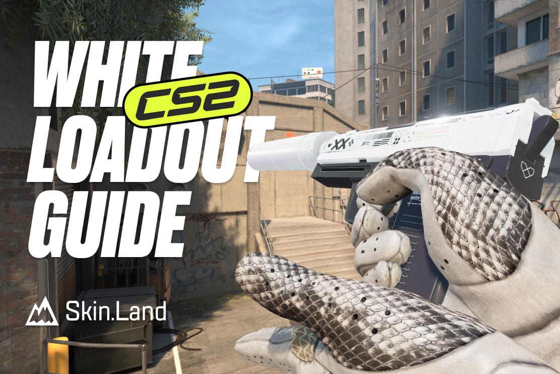 Best CS:GO and CS2 White Loadout in 2025 for T or CT