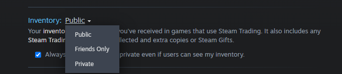 How To Make Your Steam Profile and Inventory Public in 2026