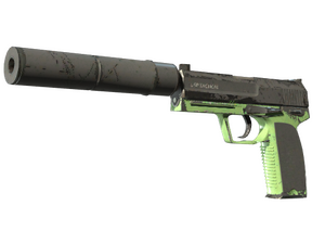 Buy USP-S | Para Green (Well-Worn) – price from $23.64 - Buy skins on ...