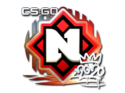 Buy Sticker | Nemiga (Foil) | 2020 RMR – price from $0.73 - Buy skins ...