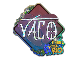 Buy Sticker | TACO (Glitter) | Rio 2022 – price from $0.08 - Buy skins ...
