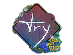 Buy Sticker | TRY (Glitter) | Rio 2022 – price from $0.32 - Buy skins ...