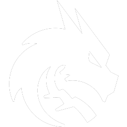 Buy Holo Team Spirit Team Sticker - TI 2023 – price from $0.77 - Buy ...