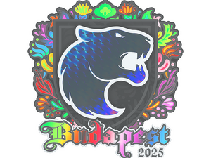 Buy Sticker | snow (Holo) | Budapest 2025 – price from $0.63 - Buy ...