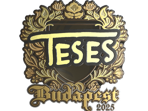 Buy Sticker | Techno4K (Gold) | Budapest 2025 – price from $5.81 - Buy ...
